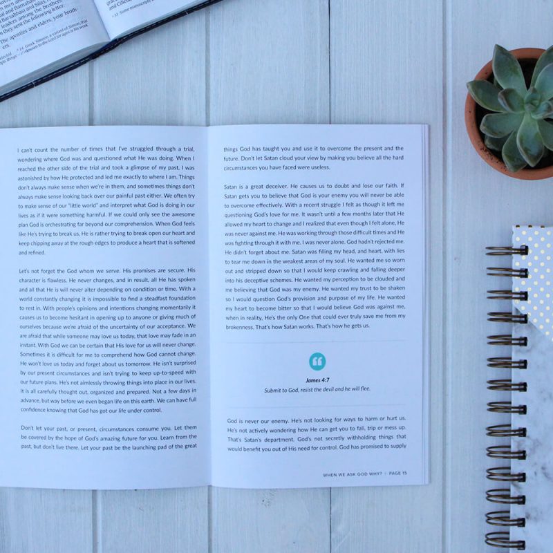 When We Ask God Why | Devotional Study - Britt Lauren Designs
